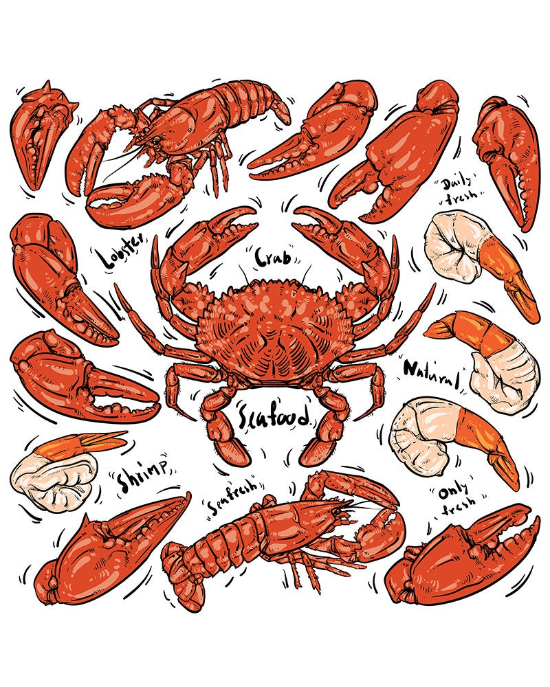 80% off Sale Seafood Hand Draw. Crab & Lobster. Hand Drawn Doodle ...
