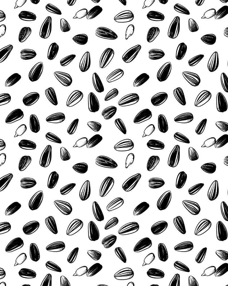 80% off Sale Sunflower Seed Pattern Including Seamless. Hand Drawn ...