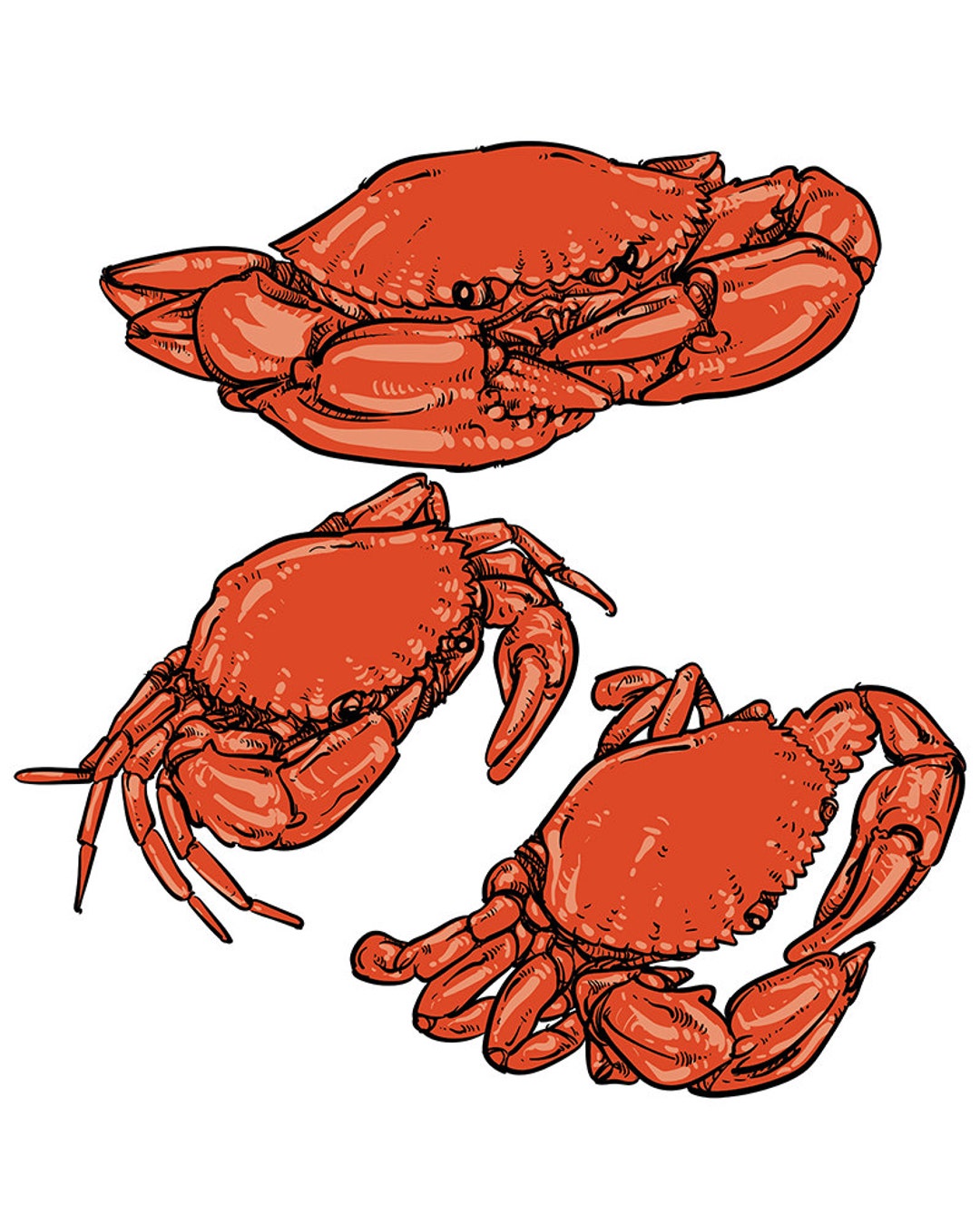 80% off Sale Vector Crab Drawing. Hand Drawn Monochrome Seafood ...
