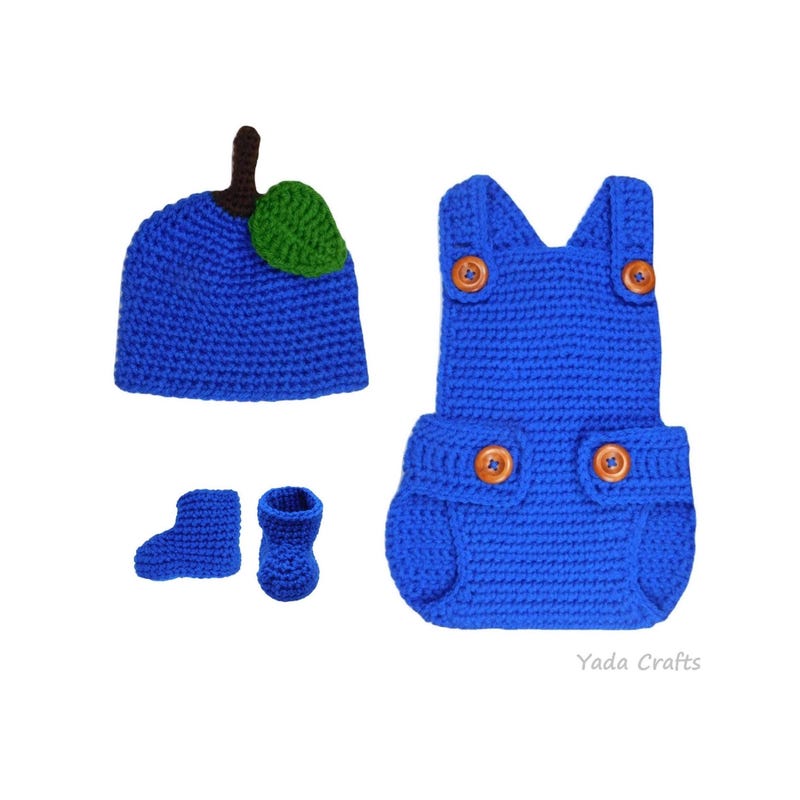Blueberry Costumes - Etsy