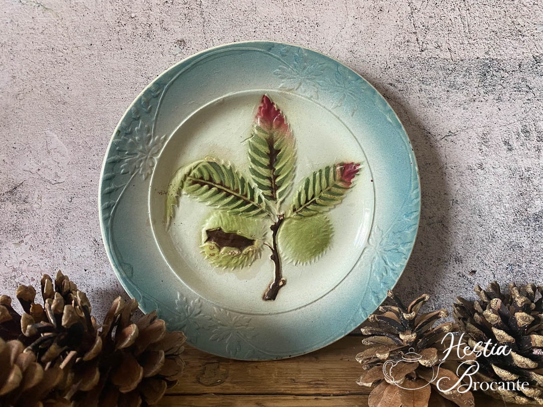 Antique French 19th Century Barbotine Plate Majolica Plate - Etsy