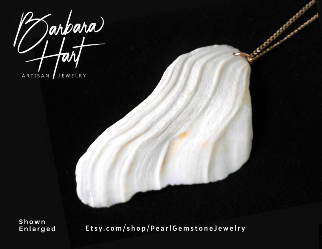 Shell 14K GF Necklace Pacific Ocean Angle Wing .png - Etsy