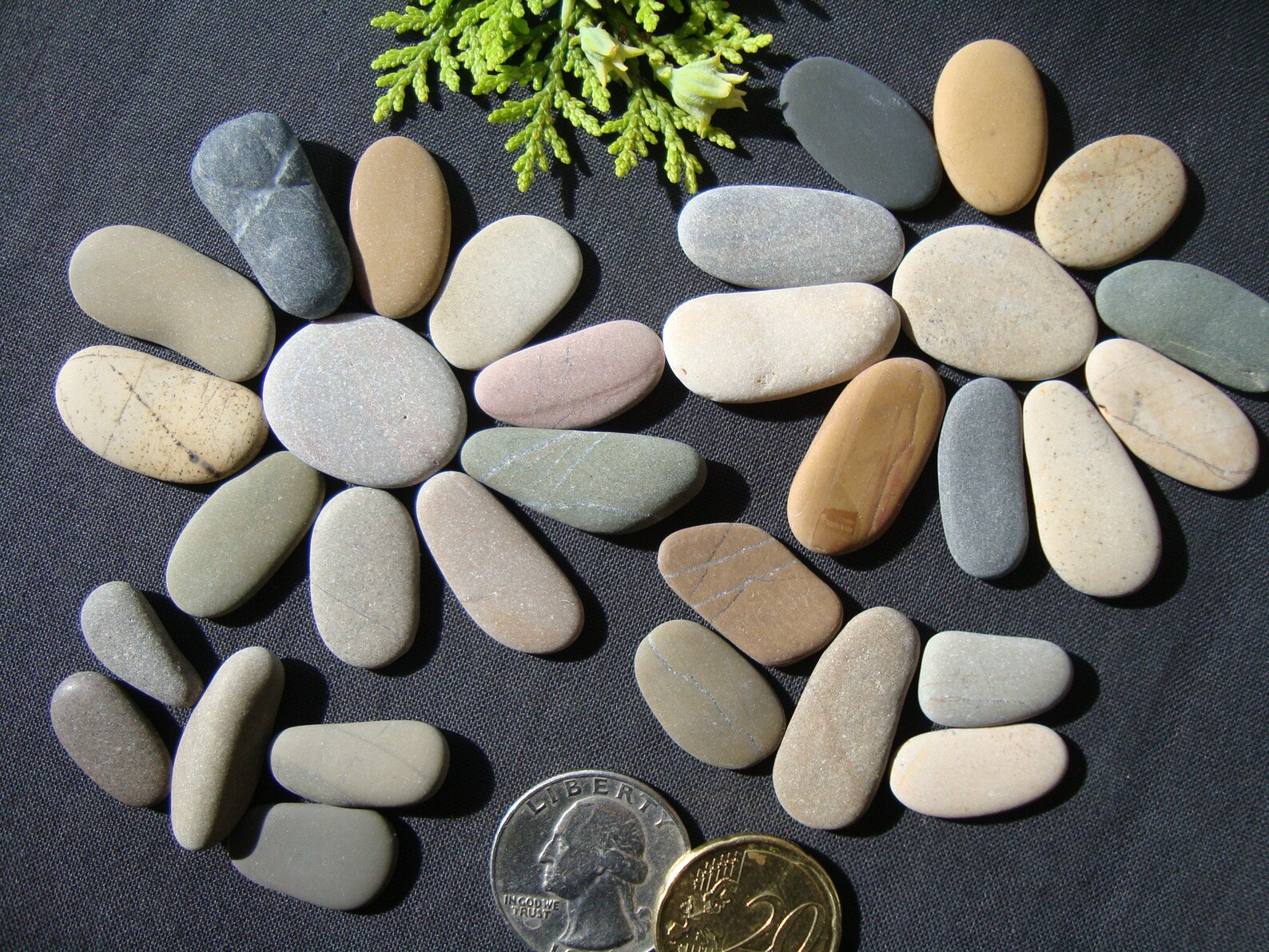 Small/Medium Elongated Stones Oblong Shape Pebble Art | Etsy