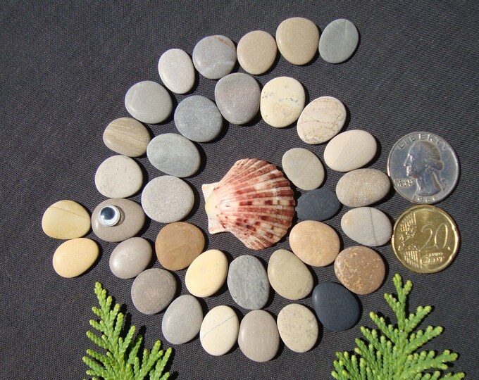 Oblong Sea Pebbles Large Lot Unique Batch Pebble Art Supplies Mosaic ...