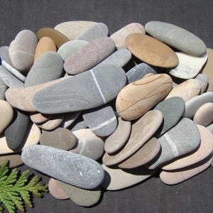 Oblong Sea Pebbles Large Lot Unique Batch Pebble Art Supplies Mosaic ...