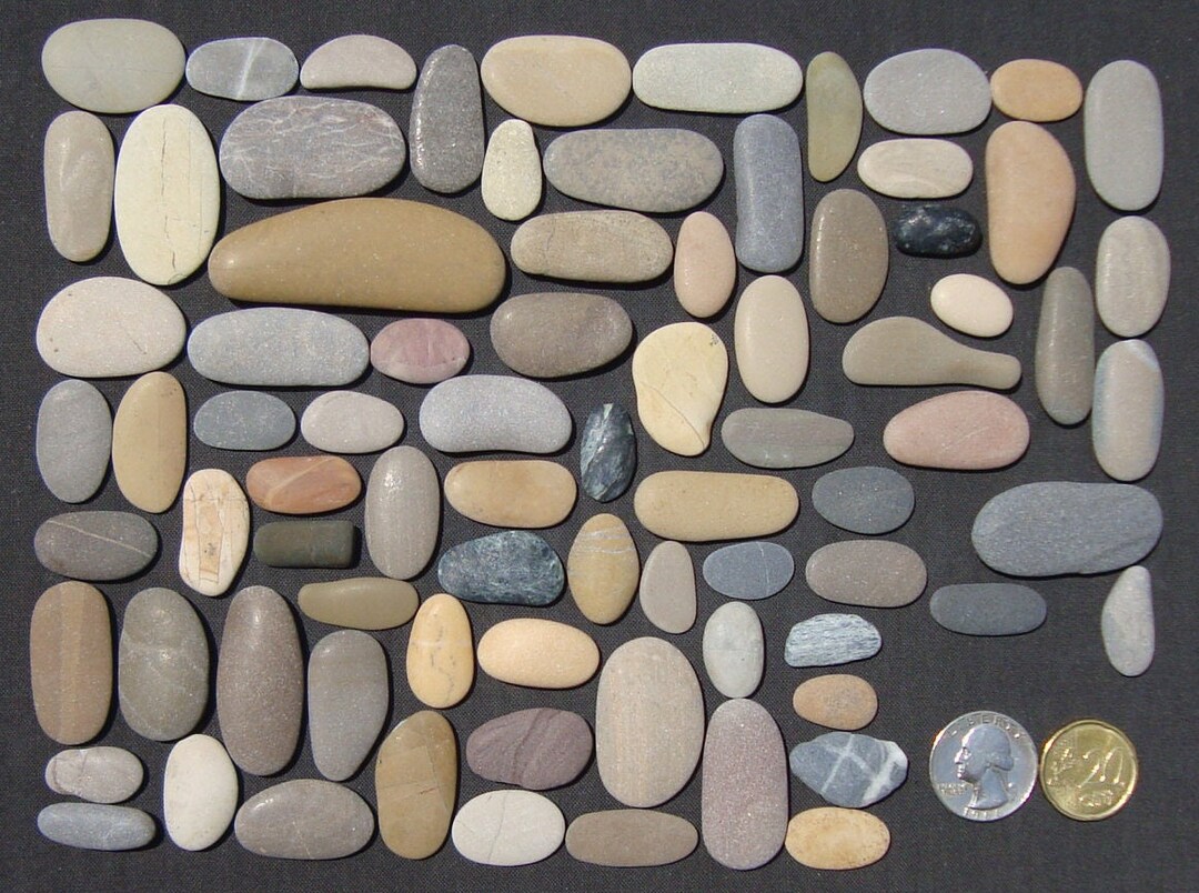 Oblong Sea Pebbles Large Lot Unique Batch Pebble Art - Etsy