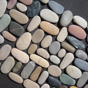 Oblong Sea Pebbles Large Lot Unique Batch Pebble Art Supplies Mosaic ...