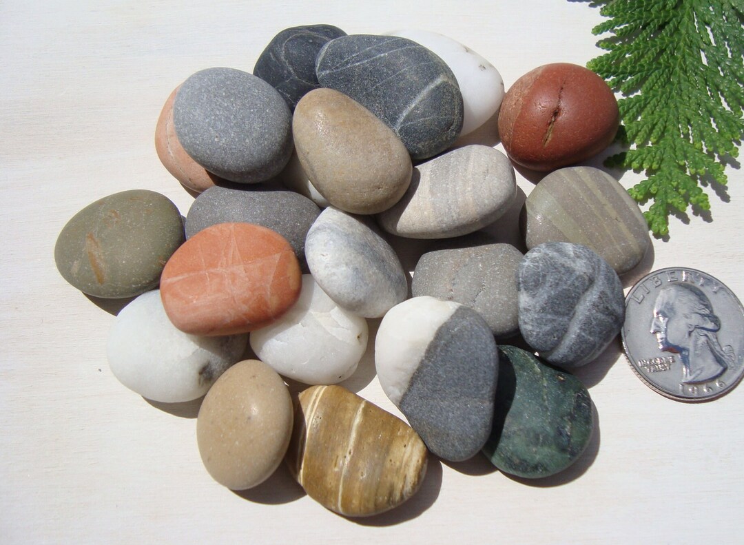 Small Voluminous Sea Stones - Decorative Sea Stones - Colorful Sea ...