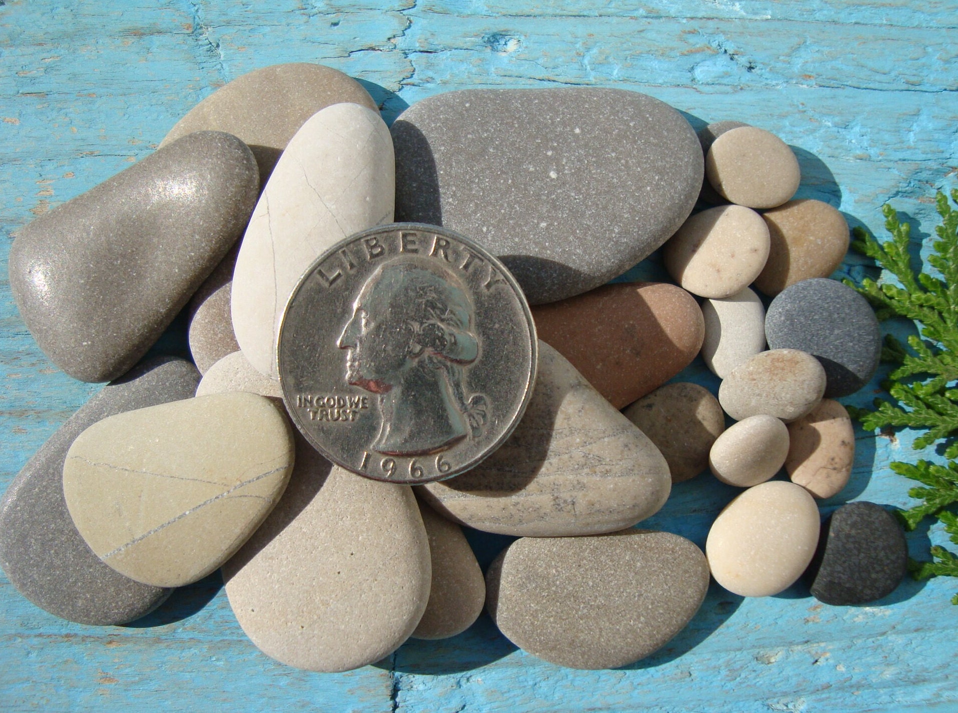 Pebble People DIY Pebble Art Picture Pebble Art Supplies | Etsy