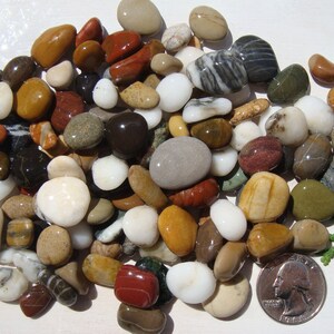 Bulk Sea Pebbles Mini Sea Stones Decorative Sea Stones Large Collection ...