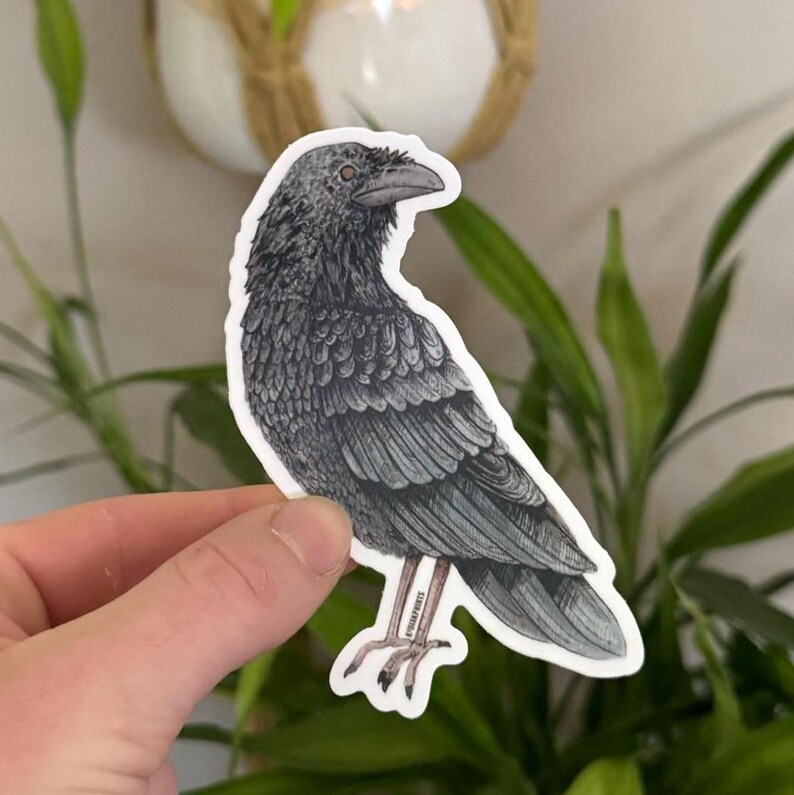 Raven Vinyl Decal Sticker - Etsy