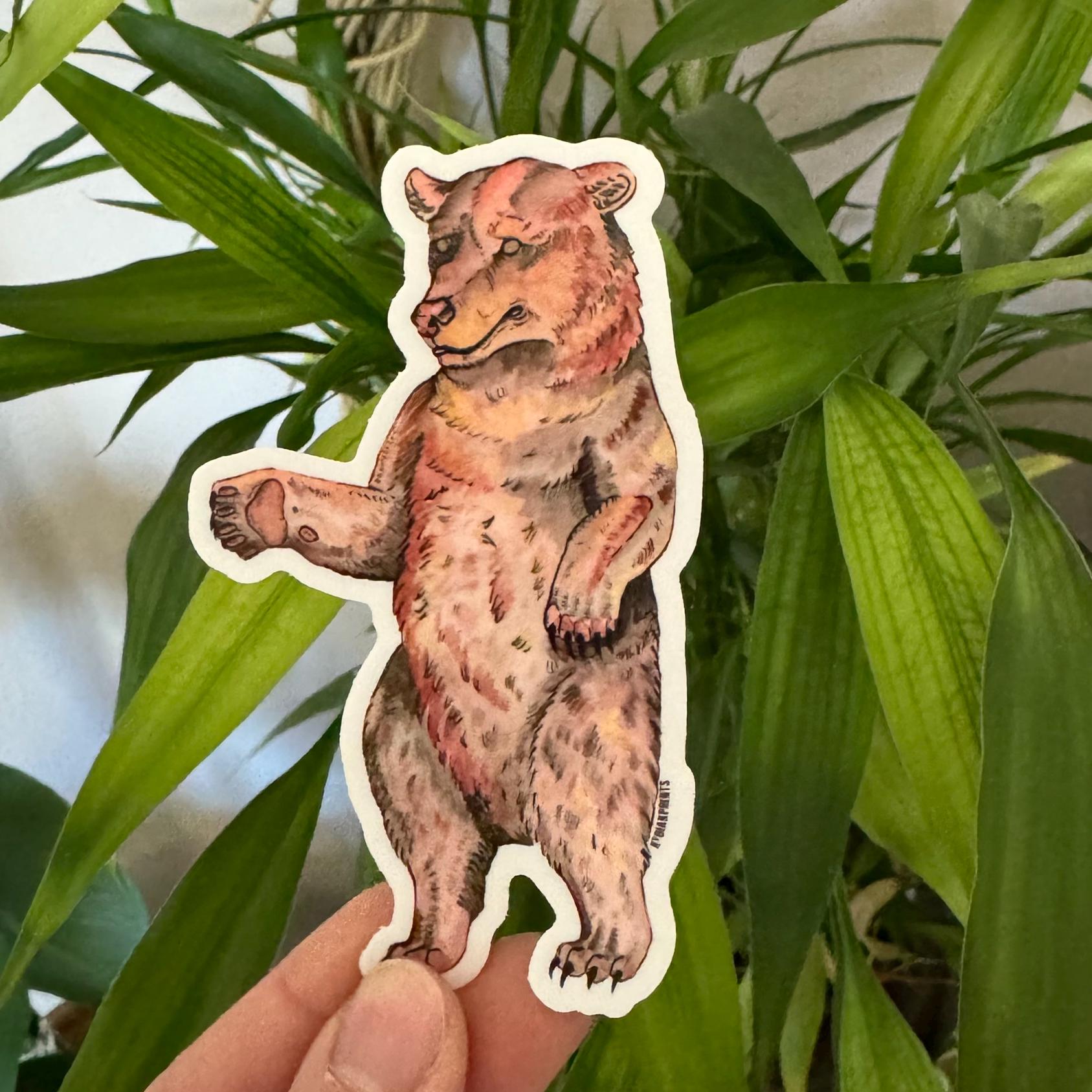 Friendly Bear Vinyl Decal Sticker - Etsy