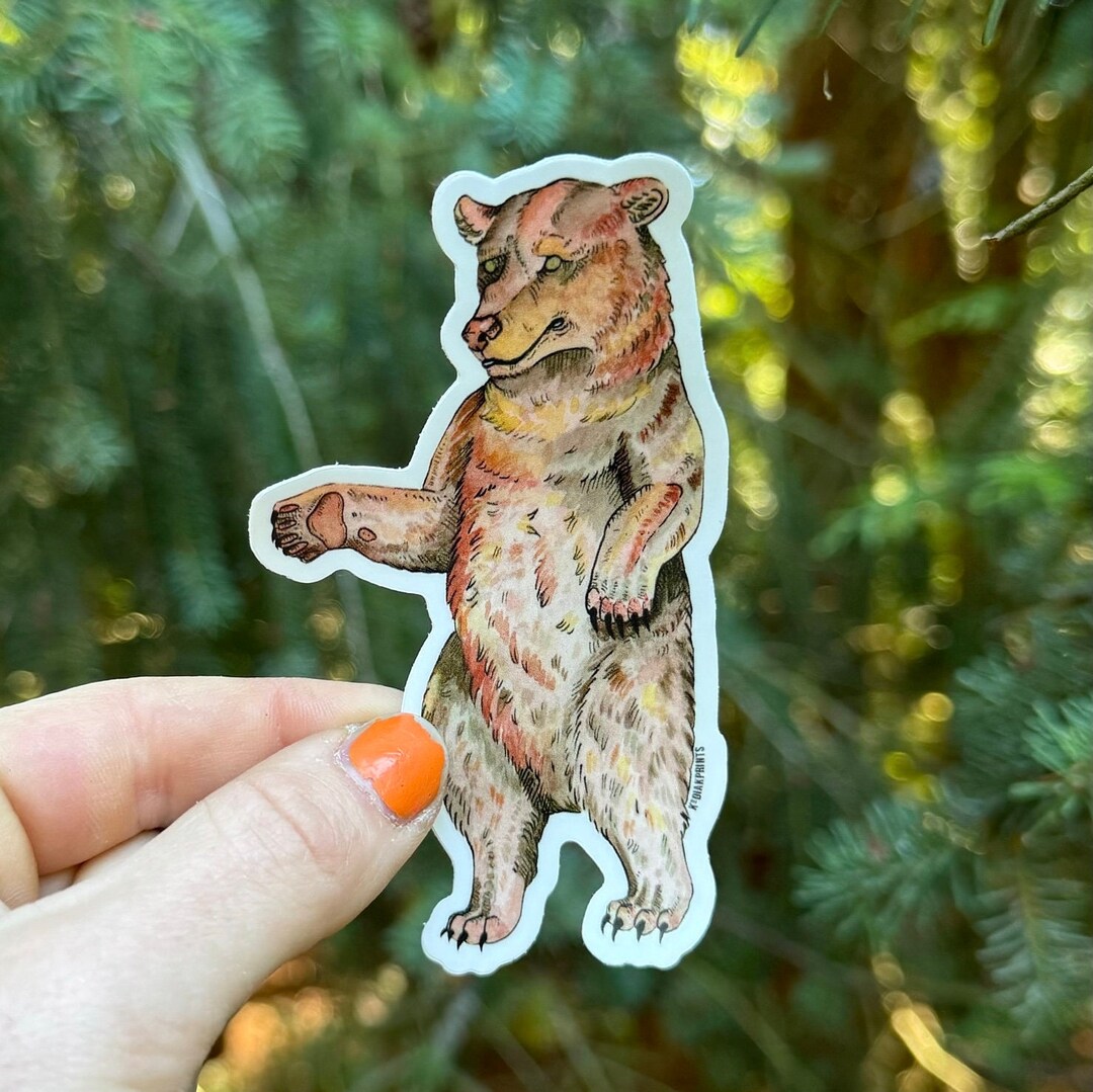 Friendly Bear Vinyl Decal Sticker - Etsy