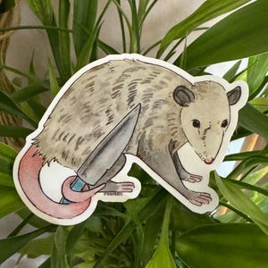 Opossum Vinyl Decal Sticker - Etsy