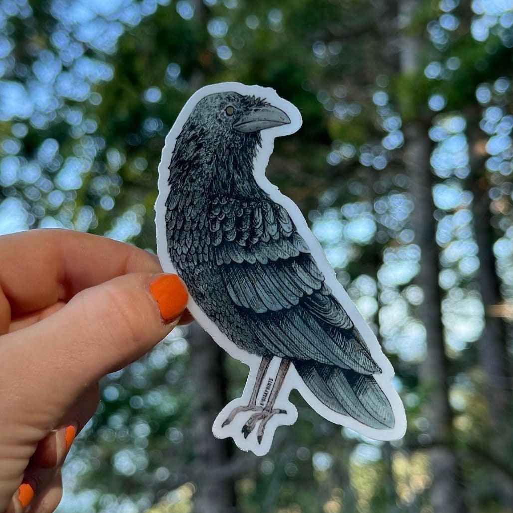 Raven Vinyl Decal Sticker - Etsy