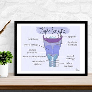 Larynx Diagram - Matte Poster - Etsy