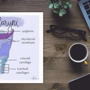 Larynx Diagram - Matte Poster - Etsy