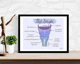 Larynx Diagram - Matte Poster - Anterior and Posterior Views - Etsy