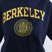 Vintage Champion Berkeley Hoodie, 90s Blue Varsity College Hoodie, Size ...