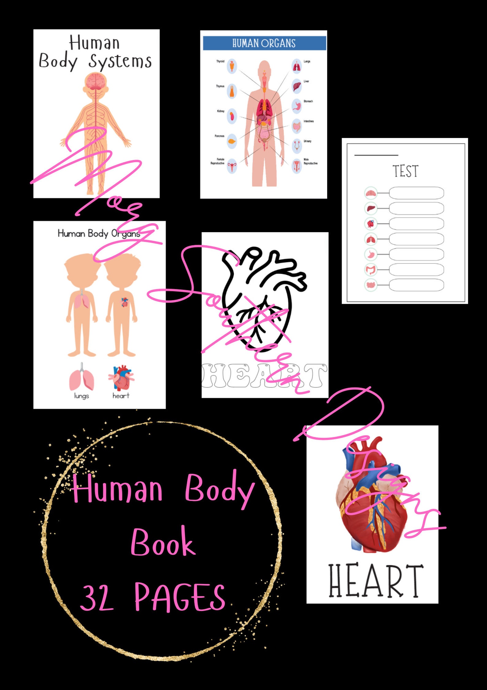 Human Body Organ Booklet With Posters, Color Pages, and a Test: 32 Page ...