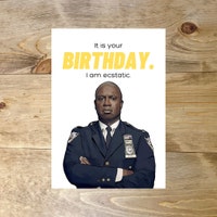 Brooklyn 99 - Etsy