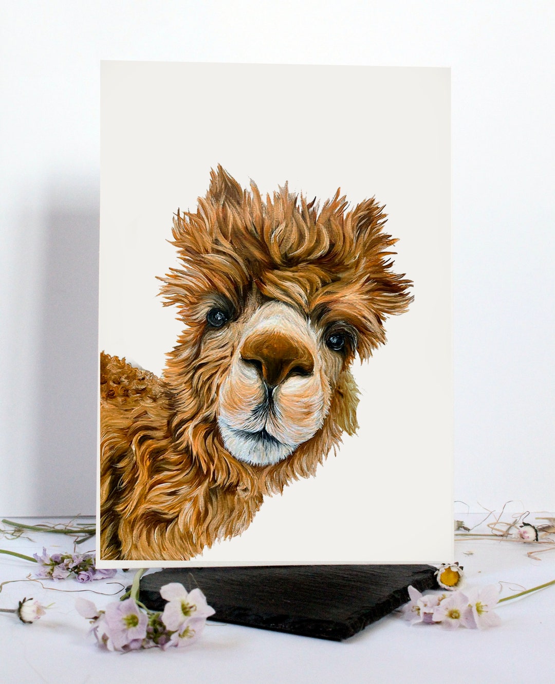 Alpaca Print, Fine Art Print, Acrylic Painting, Farm Animal Art, Giclee ...