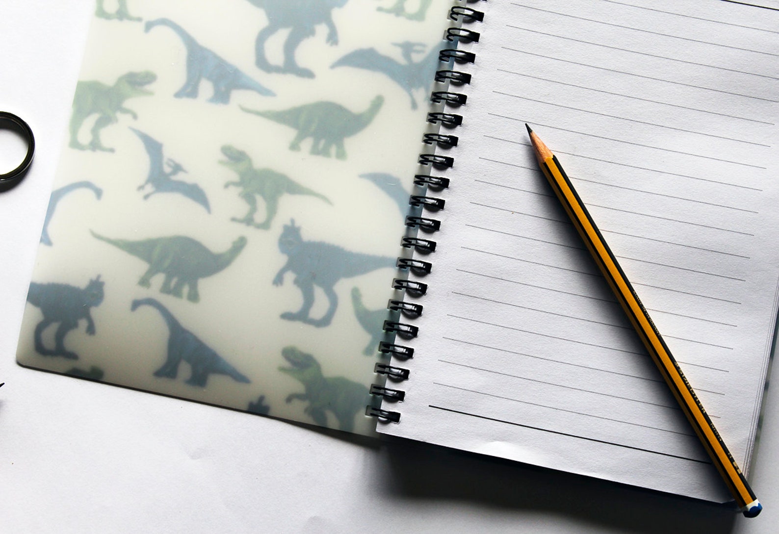 Dinosaur Notebook Personalised Notepad Rawrsome Notes - Etsy