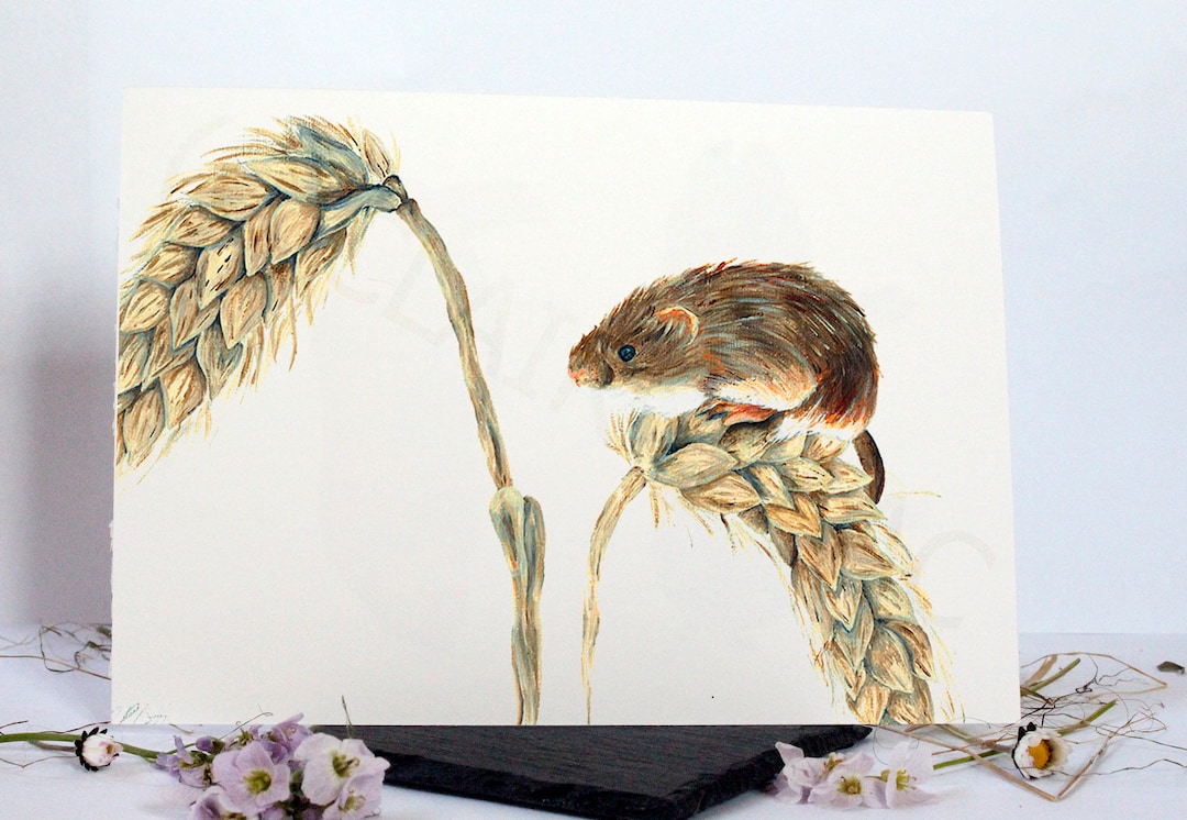 Harvest Mouse Art A4 Print, Glossy Print, Acrylic Painting, Field Mouse ...