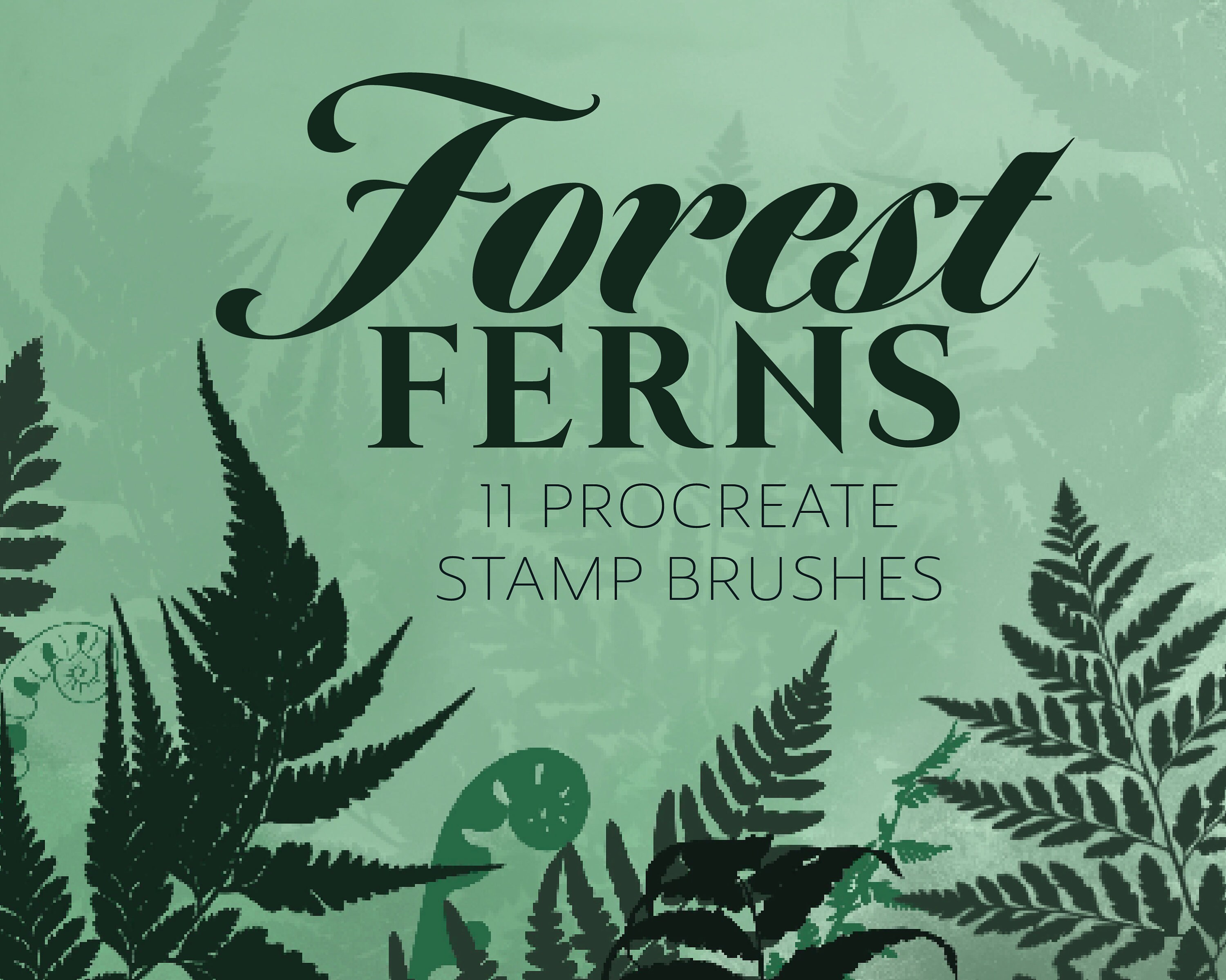 Fern Stamp Brushes for Procreate, Plant Stamps, Botanical Brushes ...