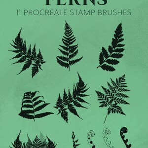 Fern Stamp Brushes for Procreate, Plant Stamps, Botanical Brushes ...