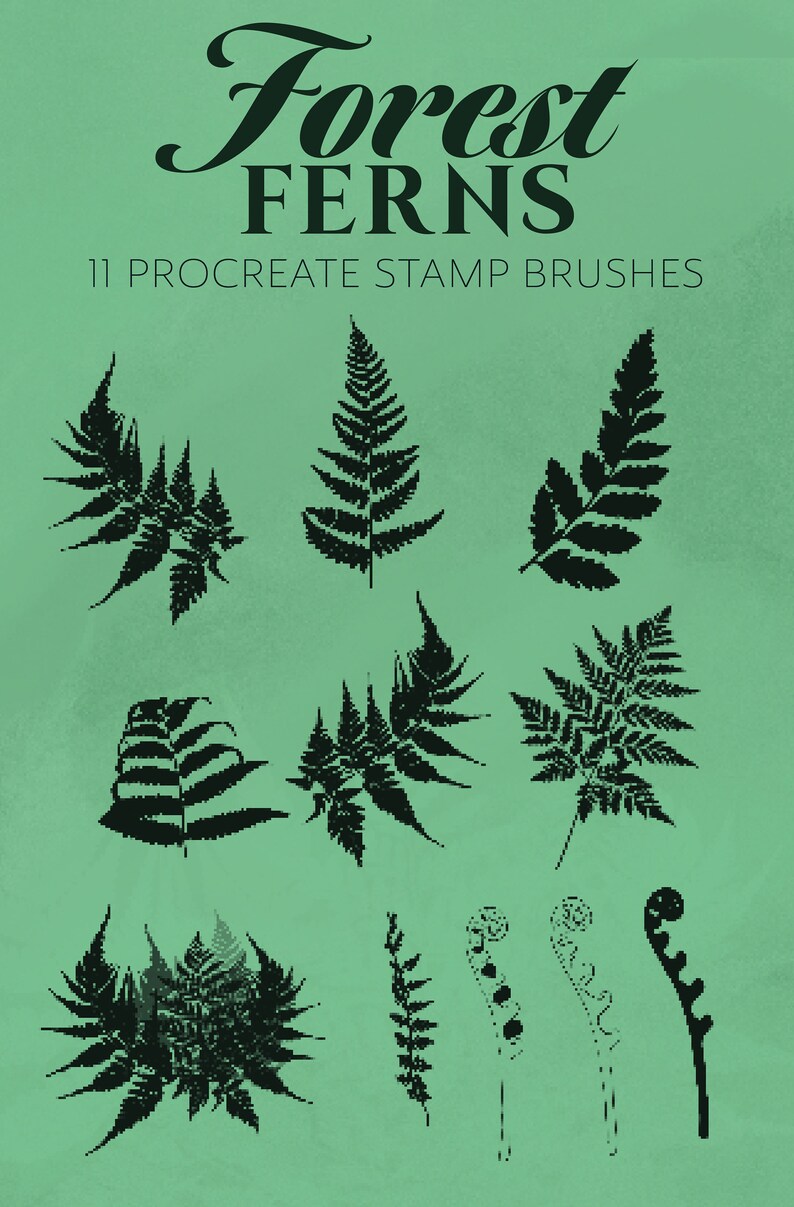 Fern Stamp Brushes for Procreate, Plant Stamps, Botanical Brushes ...