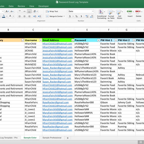 Colorful Password Log Excel Template / Instant Digital - Etsy