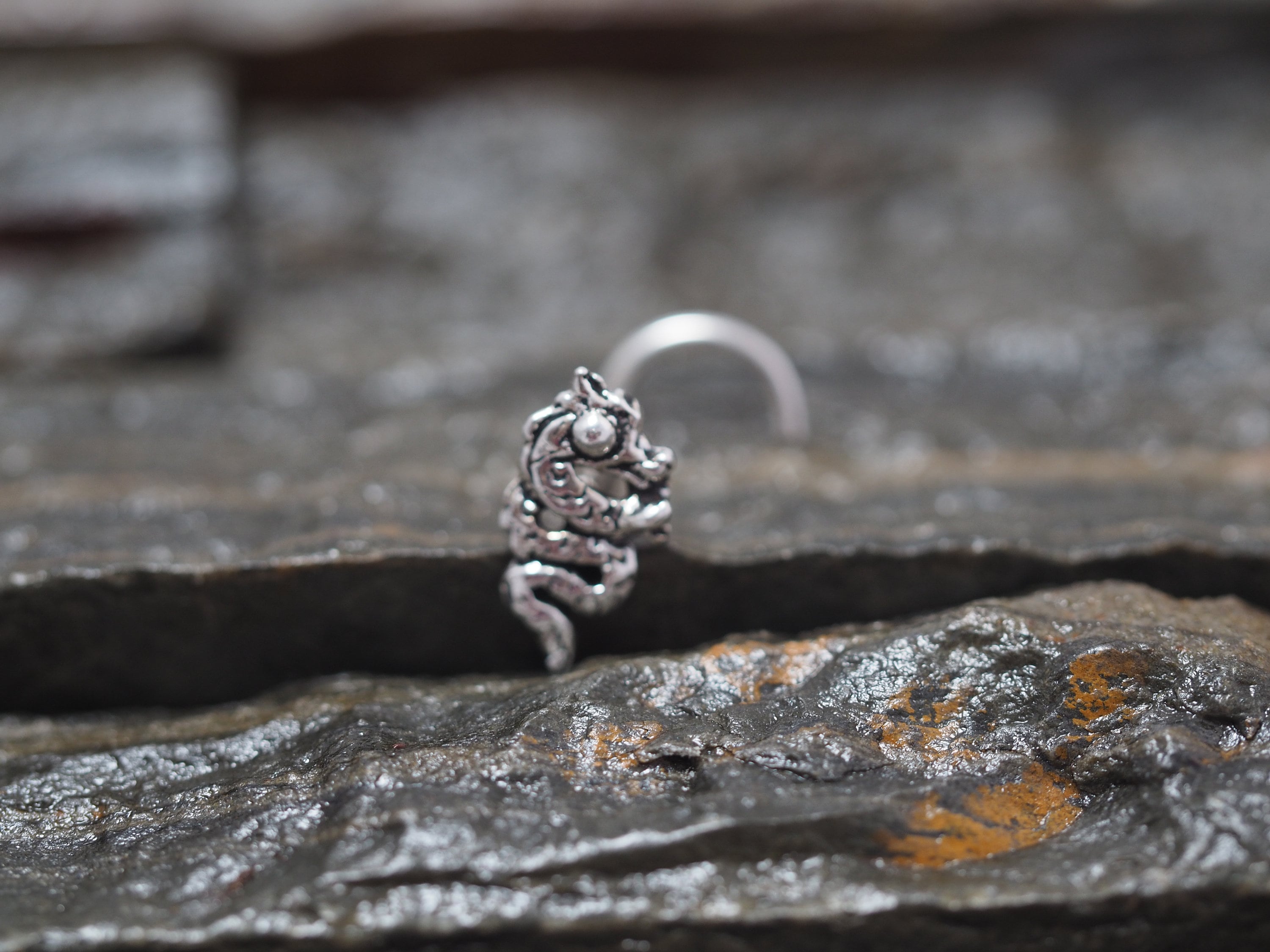 1820 gauge Dragon Nose Stud 925 Sterling Silver Dragon Nose | Etsy