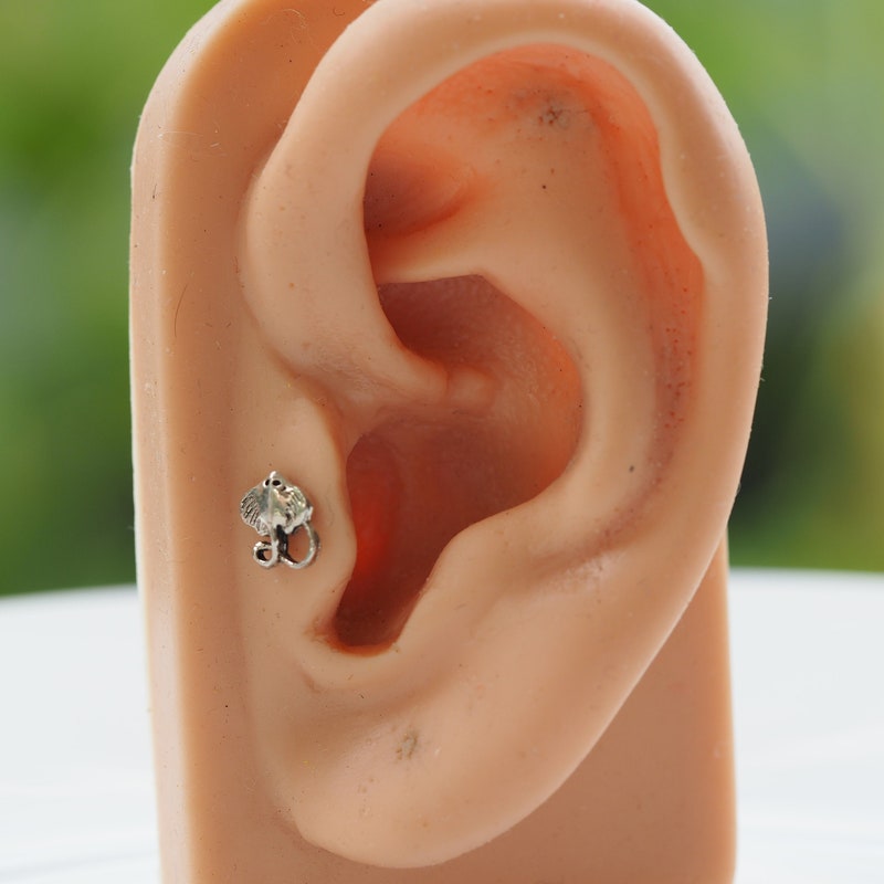Stingray Piercing - Etsy