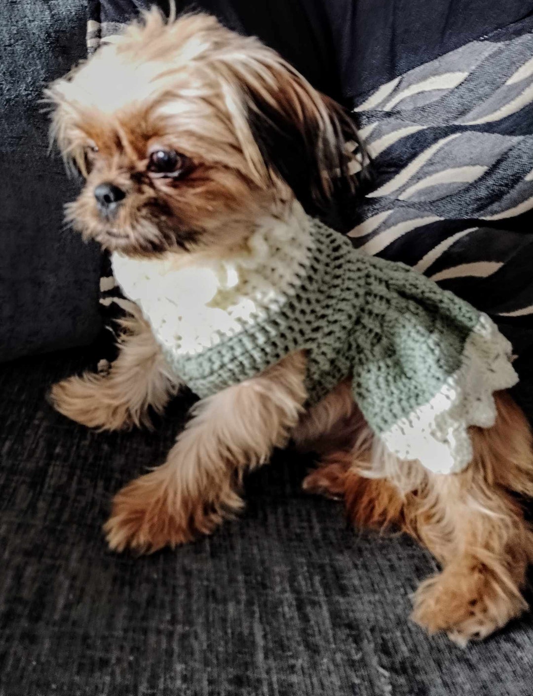 Dog Dress Sage Green & Cream Crochet Pet Dog Cat Dress With Harness Clip - Etsy