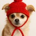 Red Pet Hat - Crochet Dog Cat Hat With Pompom. - Etsy