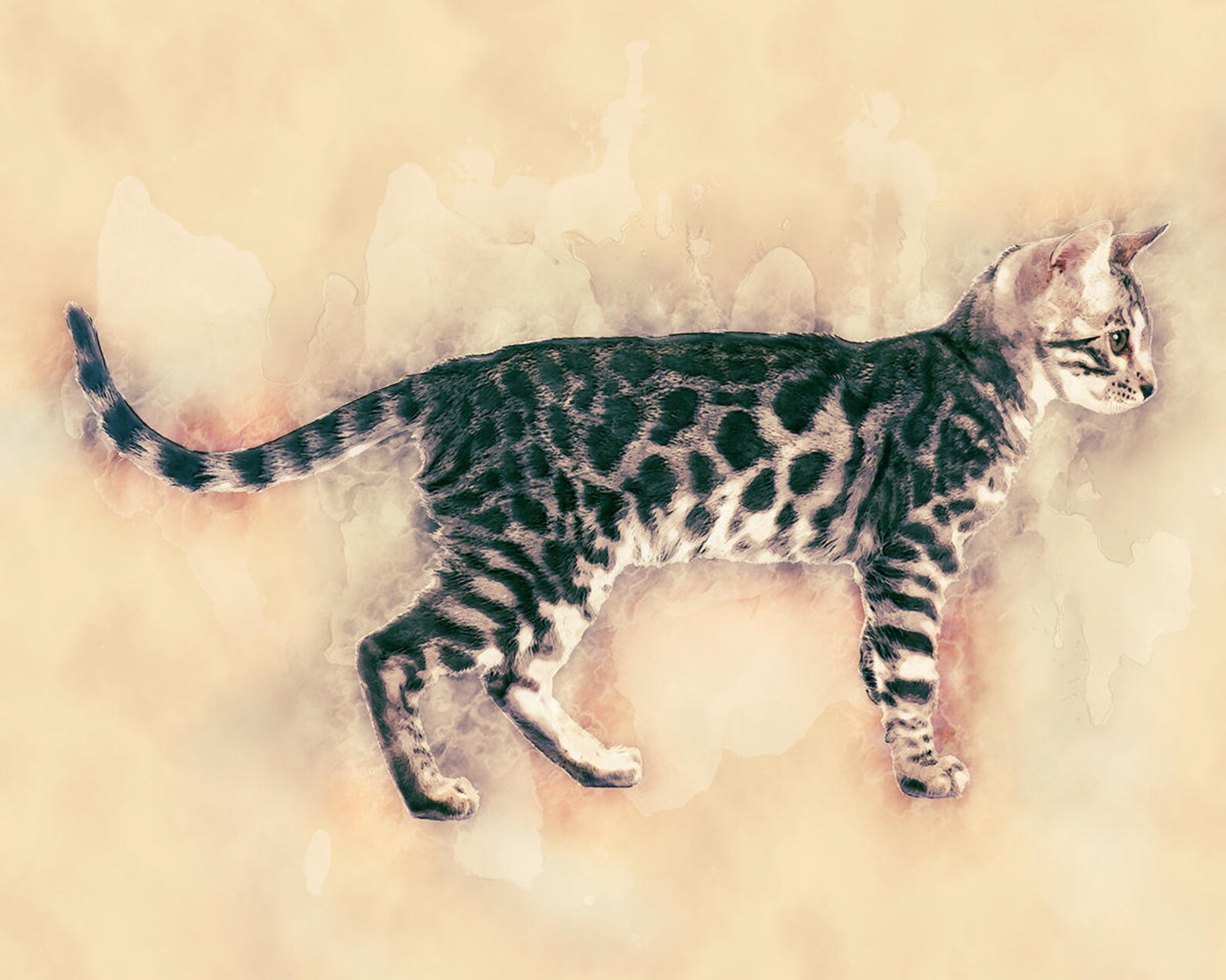 Gray Bengal Kitten Art Print Bengal Kitten Portrait Watercolor Painting ...