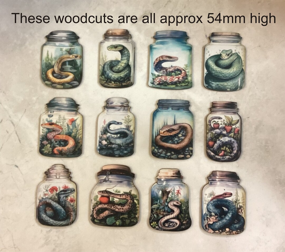 Snakes in a Jar. Ideal for Magnets, Pendants, Brooch, Crafts Galore. - Etsy