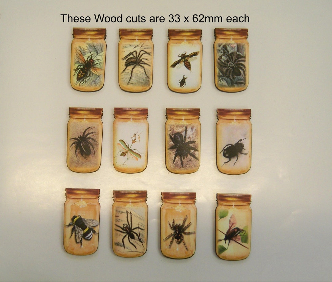 Creepy Crawly Creatures in a Jar. This is a Packet of 12 X Laser ...