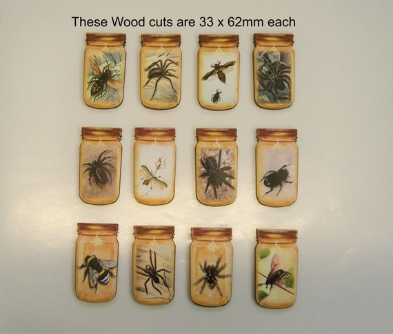 Creepy Crawly Creatures in a Jar. This is a Packet of 12 X - Etsy
