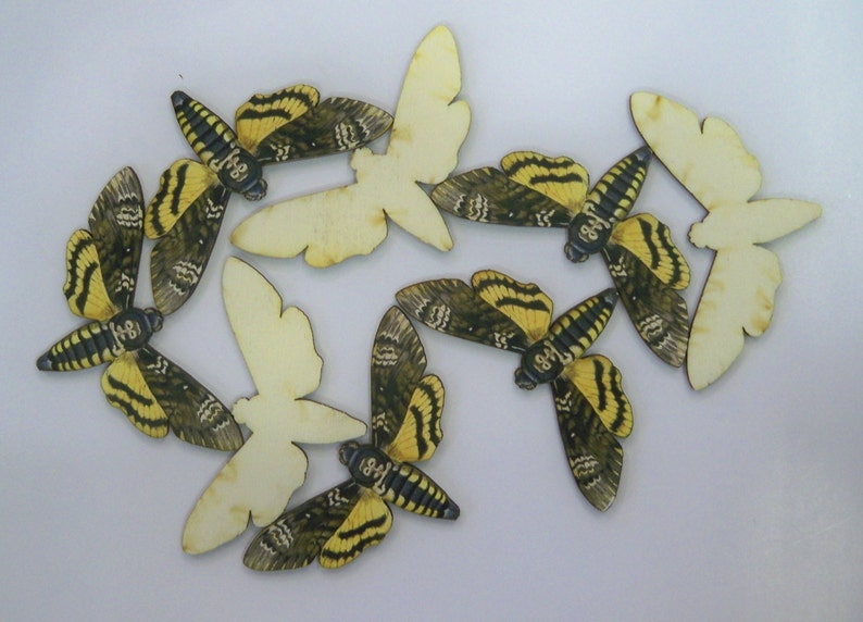 DEATH HEAD MOTHS. Wood Laser Cut for the Creative 8 per Packet | Etsy
