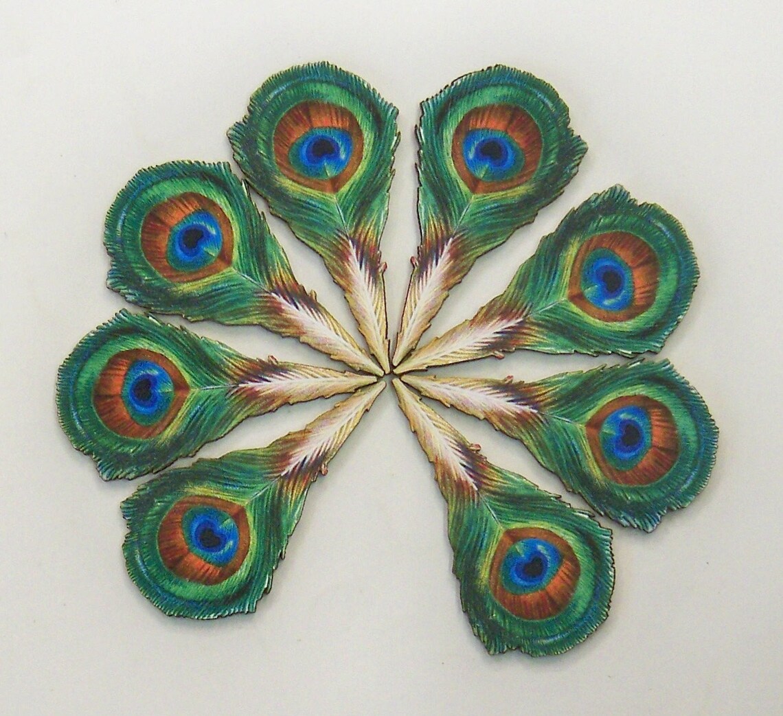 PEACOCK FEATHER. Vintage Collection 2 Sizes - Etsy UK