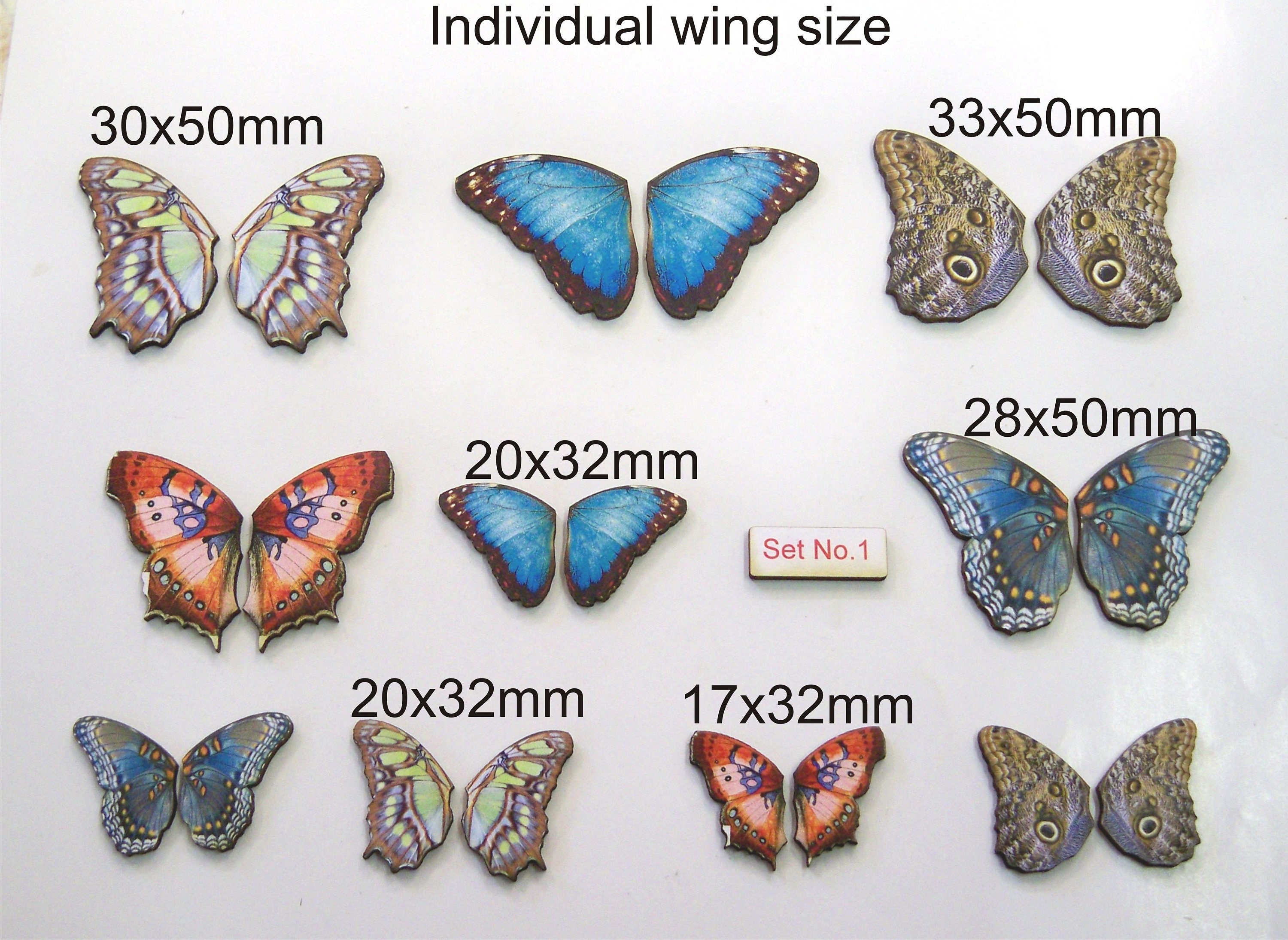 20 X Alas de Mariposa Individuales Grandes y Pequeñas Set | Etsy