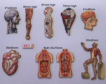 Body Parts - Etsy UK