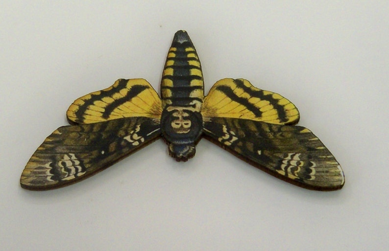 DEATH HEAD MOTHS. Wood Laser Cut for the Creative 8 per Packet | Etsy