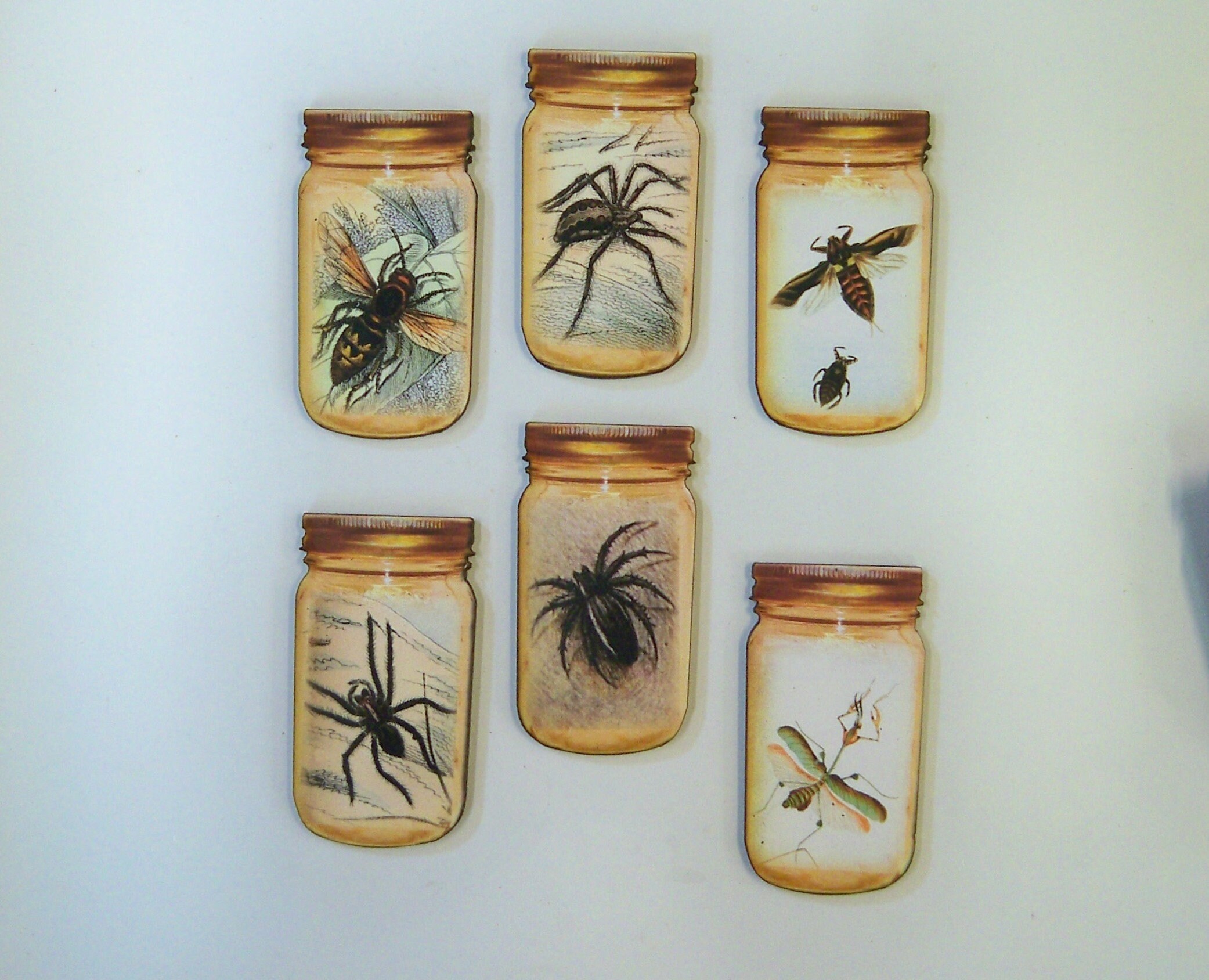 Creepy Crawly Creatures in a Jar. This is a Packet of 12 X - Etsy