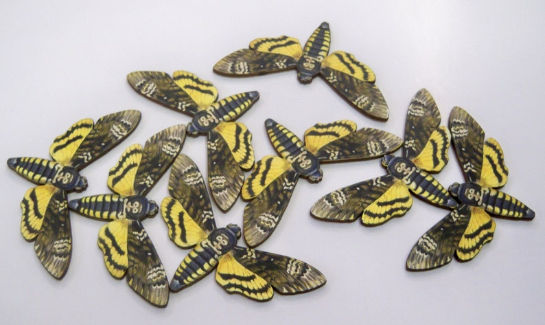 DEATH HEAD MOTHS. Wood Laser Cut for the Creative 8 per Packet | Etsy