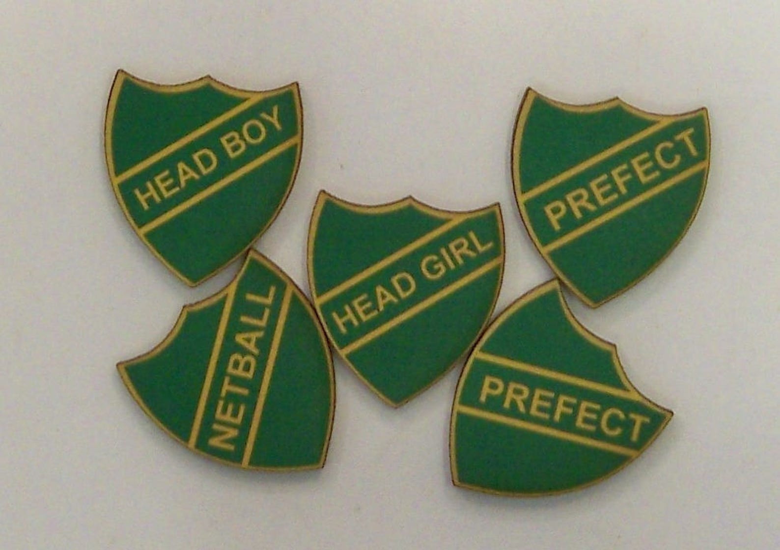 SCHOOL BADGES. GREEN House A Collection of 20 X Retro Looking - Etsy