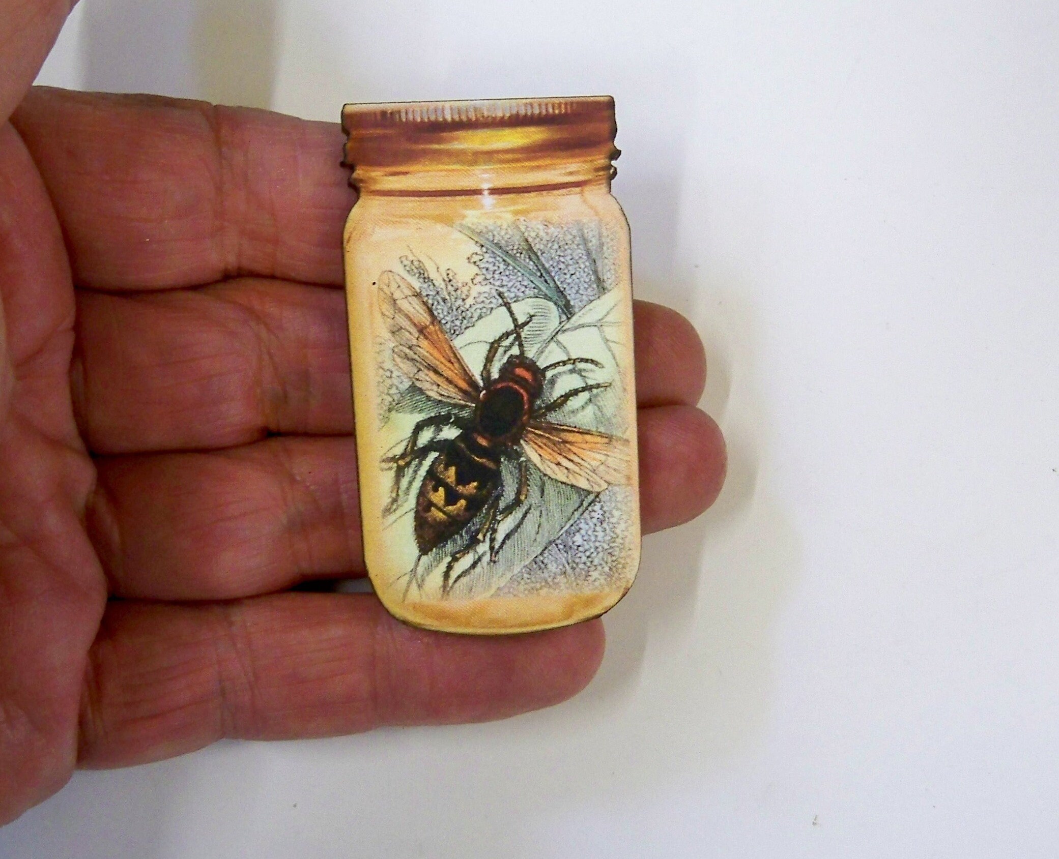 Creepy Crawly Creatures in a Jar. This is a Packet of 12 X - Etsy
