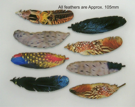 Feathers Set of 8 Laser Wood Cutouts - Etsy